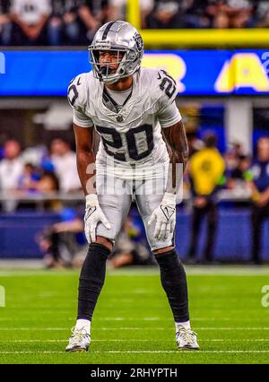 Las Vegas Raiders safety Isaiah Pola-Mao (20) against the Los Angeles ...