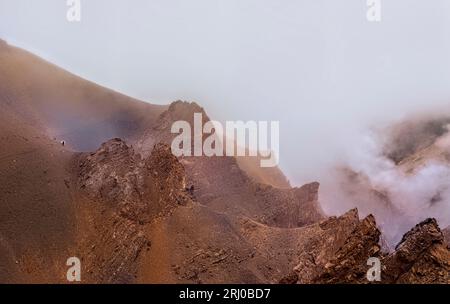 Precipitous trail to the Gotunta La Pass, Zanskar, Ladakh, India Stock ...