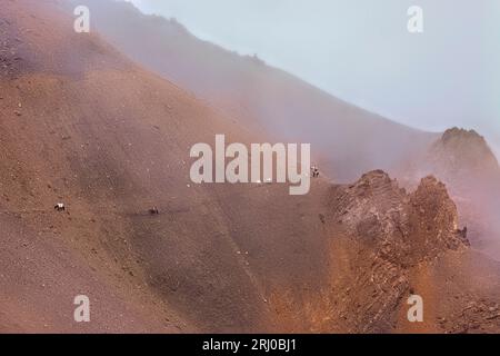 Precipitous trail to the Gotunta La Pass, Zanskar, Ladakh, India Stock ...