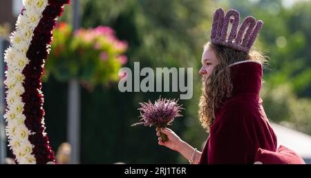 20 August 2023, Lower Saxony, Osnabrück: Soccer: 2nd Bundesliga, VfL ...