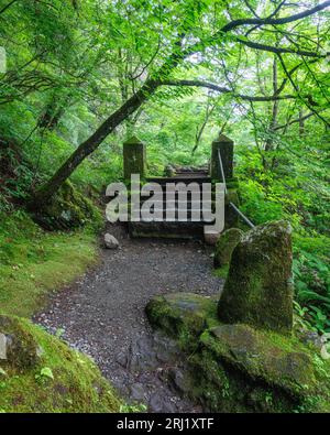 Scenic sight in the famous Kanmangafuchi Abyss in Nikko. Tochigi ...