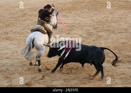 The rejoneador Emiliano Gamero fights the bull during a corrida de ...