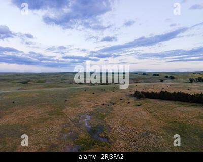 Early morning aerial photograph of Whitetail Creek, near Keystone ...