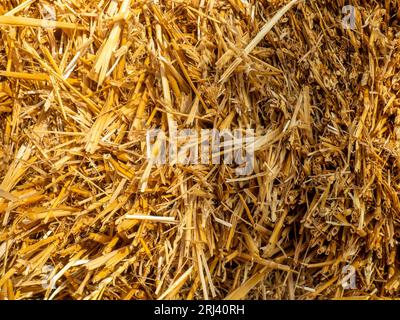 Hay background. Straw blocks. Heap of dry grass. Animal food. Hayloft ...