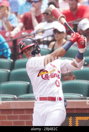 Masyn Winn: The Cardinals Rising Star Shines
