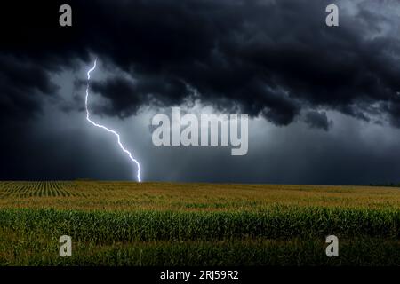 thunder clouds over a corn field in summer Stock Photo - Alamy
