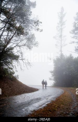 Two figures along a forest path Stock Photo - Alamy