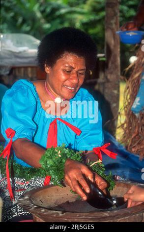 Preparing kava in a remote village in Viti Levu, Fiji Stock Photo - Alamy