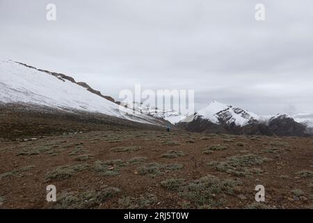 Trekking to the Nialo Kontse La Pass, Zanskar, Ladakh, India Stock ...