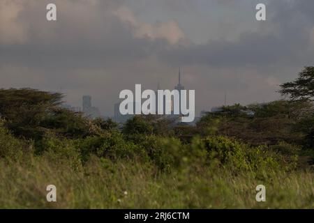 Aerial view of a sprawling metropolis surrounded by water, featuring a ...