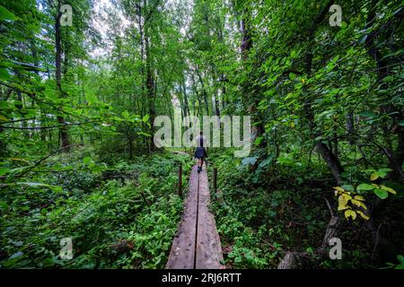 At Vartiosaari island and its nature trail, Helsinki, Finland Stock ...