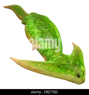 3D rendering of a prehistoric amphibian diplocaulus on white background ...
