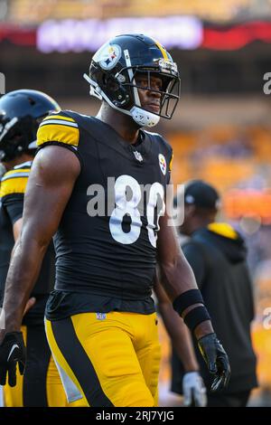 Pittsburgh Steelers tight end Darnell Washington (80) tires to leap ...