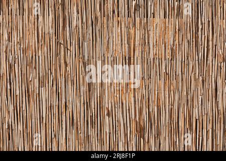Handmade fence made of dried reeds as background. Backdrop of straw ...