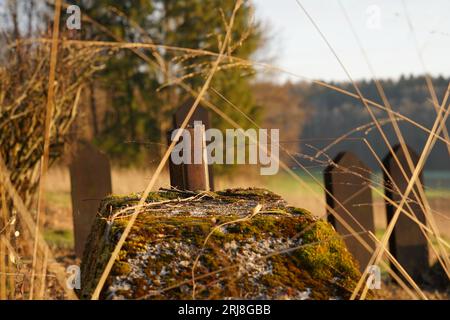 Anti-tank barrier or obstacles made from steel rail and buried to the ...