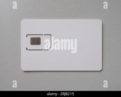 Blank White Triple Format