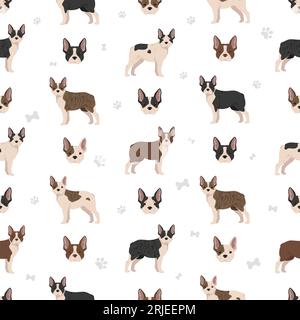 Frenchton clipart. French bulldog Boston terrier mix. Different coat ...