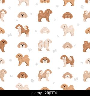 Bichpoo, Poochon clipart. Bichon Frise Poodle mix. Different coat ...