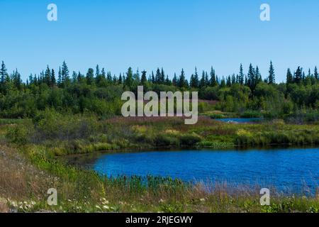Beautiful lake sparkles in sunshine in Northwest territories, NT Canada ...