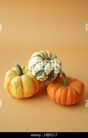 Different types of mini pumpkins color background Stock Photo - Alamy