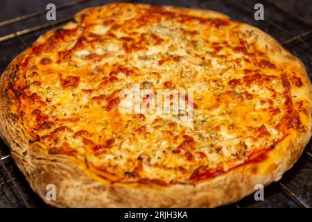 Traditional Vera Pizza Napoletana with chicken and catupiry cheese ...
