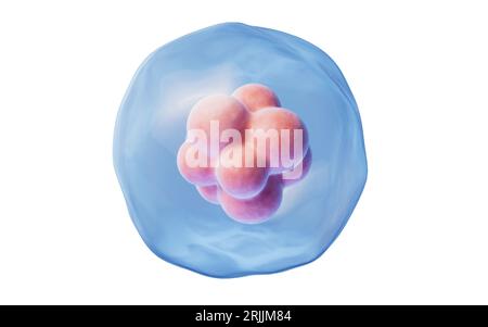 Blue isolated cell with biology concept, 3d rendering. Digital drawing ...