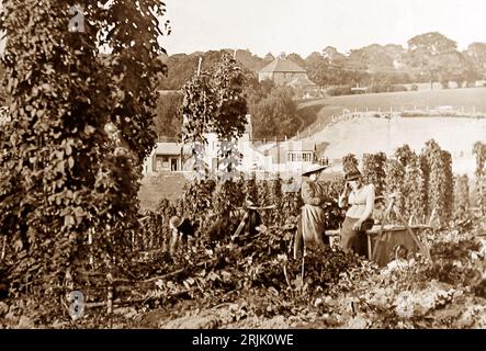 The Hop Garden, Goudhurst, Kent, Victorian period Stock Photo - Alamy