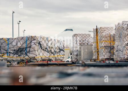 Preparation before flight. Loading of cargo container against airplane ...