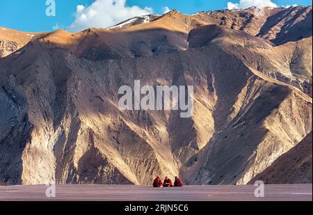 Monks under the mountain, Lingshed, Zanskar, Ladakh, India Stock Photo ...