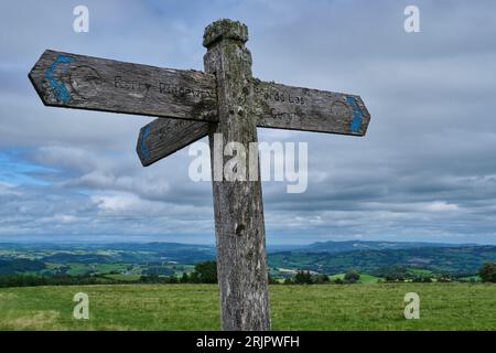 Path junction on the Kerry Ridgeway, Powys, Wales Stock Photo - Alamy