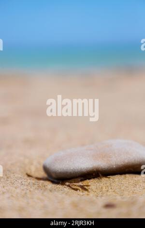 A sun-drenched beach in Alicante, Spain, featuring textured sea rocks ...