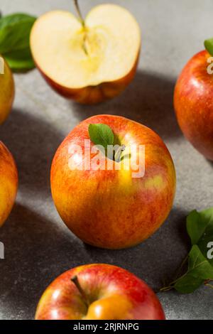 Red Organic Raw Envy Apples in a Bunch Stock Photo - Alamy