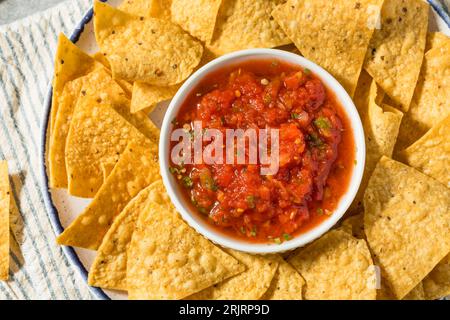 Healthy Homemade Organic Tortilla Chips and Salsa Ready to Eat Stock ...