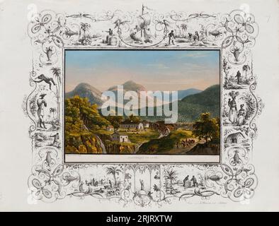 Plantação de Café by Friedrich Salathé Stock Photo - Alamy