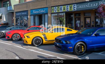 FORD Mustang at Mustang Alley on Ferndale Dream Cruise, USA, Aug.20 ...