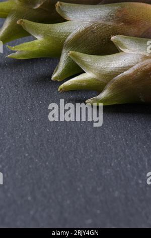 Whole Japanese myoga ginger shoots on grey stone background Stock Photo ...