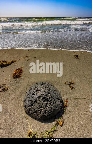 Piddock Clam holes in solid rock on Shi Shi Beach, Olympic National ...