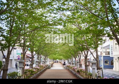 Wakamiya Oji Street, Kyoto Prefecture, Japan Stock Photo - Alamy