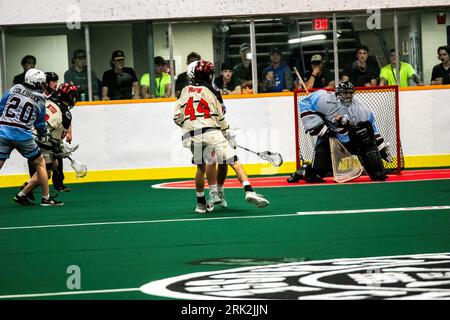 Edmonton, Canada. 22nd Aug, 2023. Coquitlam Adanacs (White/Yellow ...