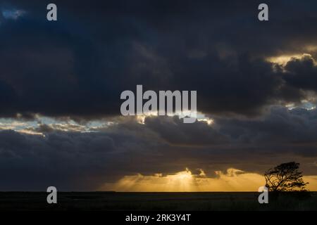 Dawn at Schiermonnikoog, Netherlands. Nature image from the Netherlands ...