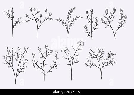 flower leaves doodle hand drawn vector illustration set Stock Vector ...