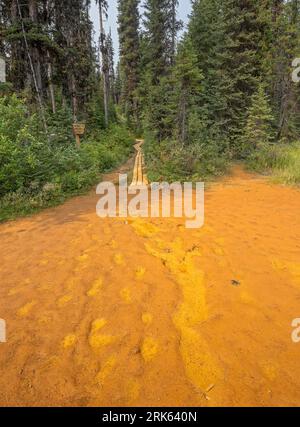 The site of an abandoned ochre mine resulting in stained ground in ...