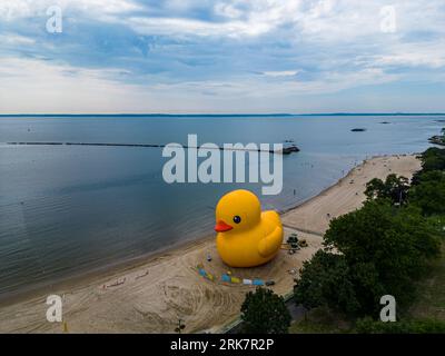 An aerial view of an enormous yellow rubber duck on the beach near the ...