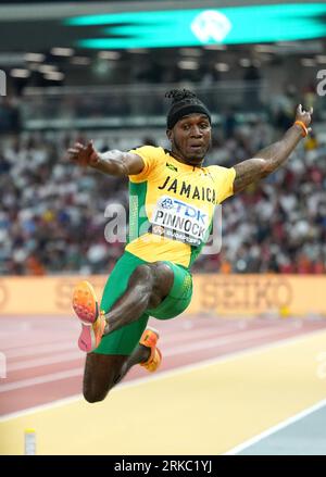 Wayne PINNOCK of JAM Final LONG JUMP MEN during the World Athletics ...