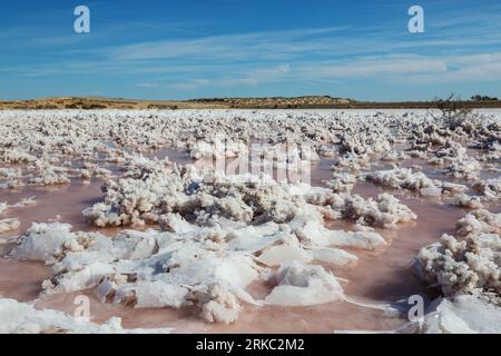 salt pond in the Baja California, Mexico Stock Photo - Alamy