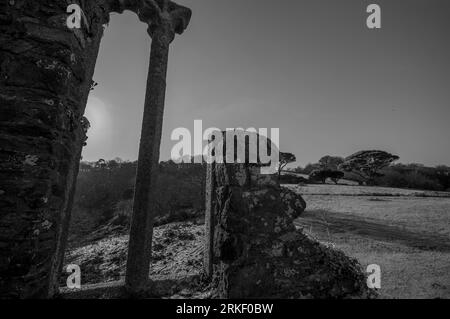 Folly at Mount Edgecombe, Cornwall Stock Photo - Alamy