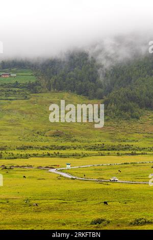 An idyllic landscape of Bhutan's countryside featuring a vibrant green ...