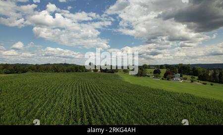 This image depicts a picturesque farm landscape with bright sunshine ...