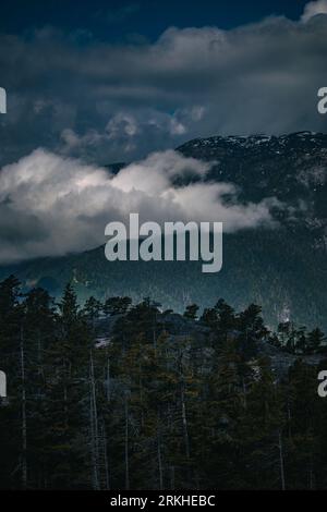 Mountain peaks shrouded in misty clouds. Rugged cliffs rise above a sea ...