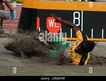 Wayne PINNOCK of JAM Final LONG JUMP MEN during the World Athletics ...